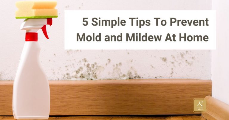 5 Simple Tips to Prevent Mold and Mildew at Home